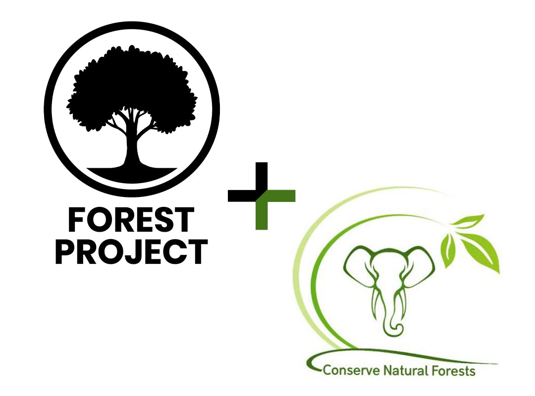 Conserve Natural Forests (CNF) and Reforestation Efforts – Forest Project